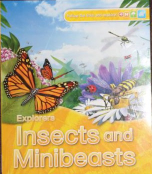 Explorers: Insects and Minibeasts by Jinny Johnson | Today We Did